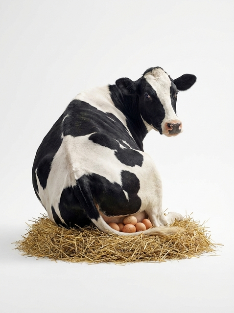 LetzAI | Create what you love